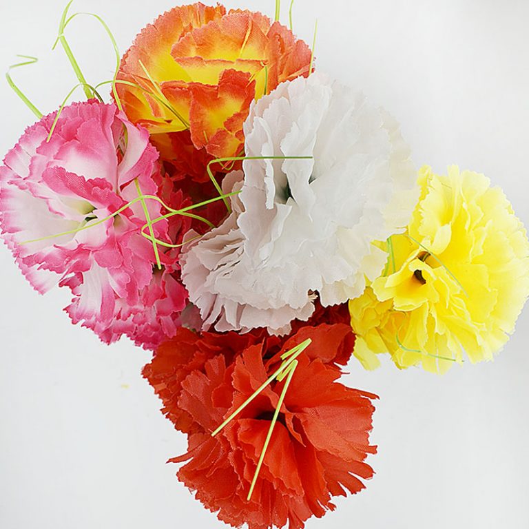 Ramo clavel con pasto – Paquete por 10 uni. (Colores surtidos) – Yaques ...