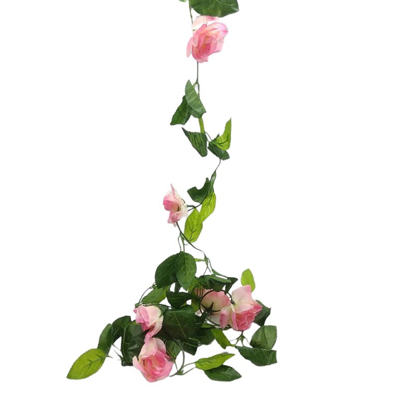 Guía de Rosas – Yaques Hnos