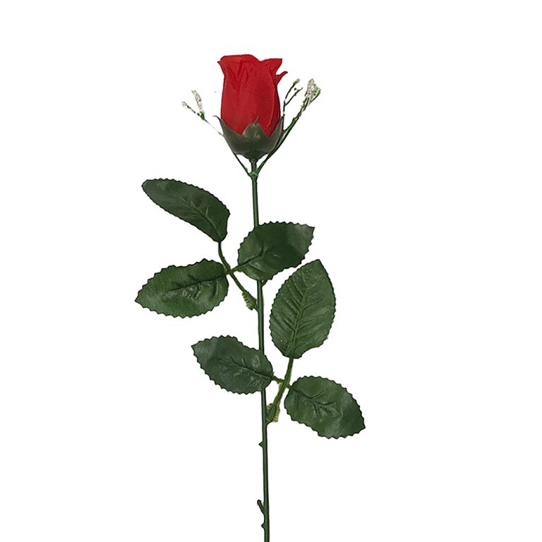 Atado Pimpollo Económico X10 – Yaques Hnos