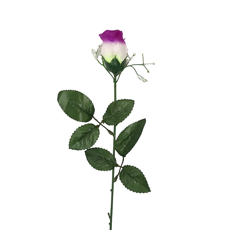 Atado Pimpollo Económico X10 – Yaques Hnos