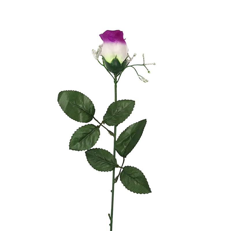 Atado Pimpollo Económico X10 – Yaques Hnos